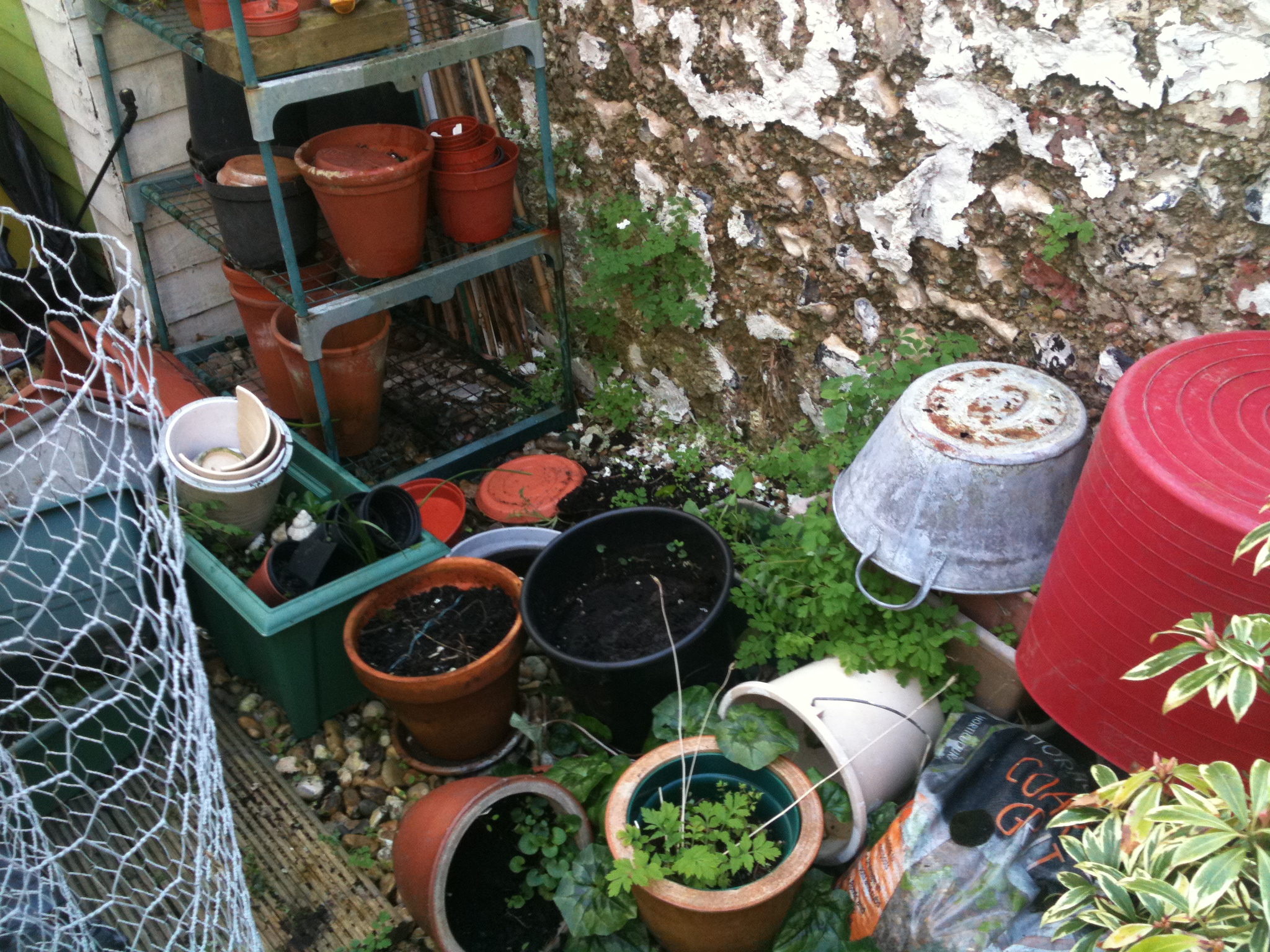 Garden clutter and aspirational delusions